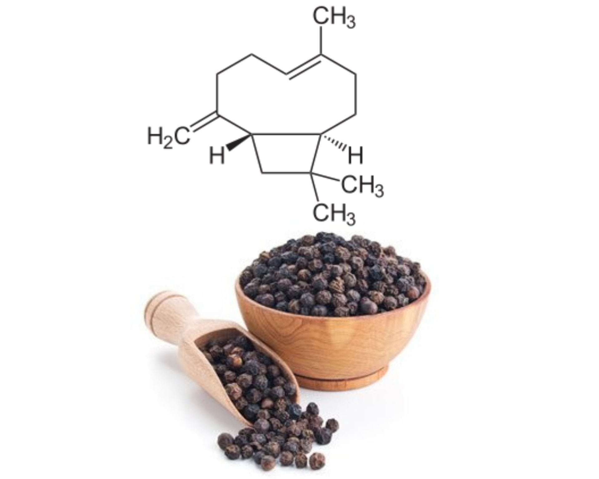 Hablemos de los terpenos: Cómo usar los terpenos - Cannabee