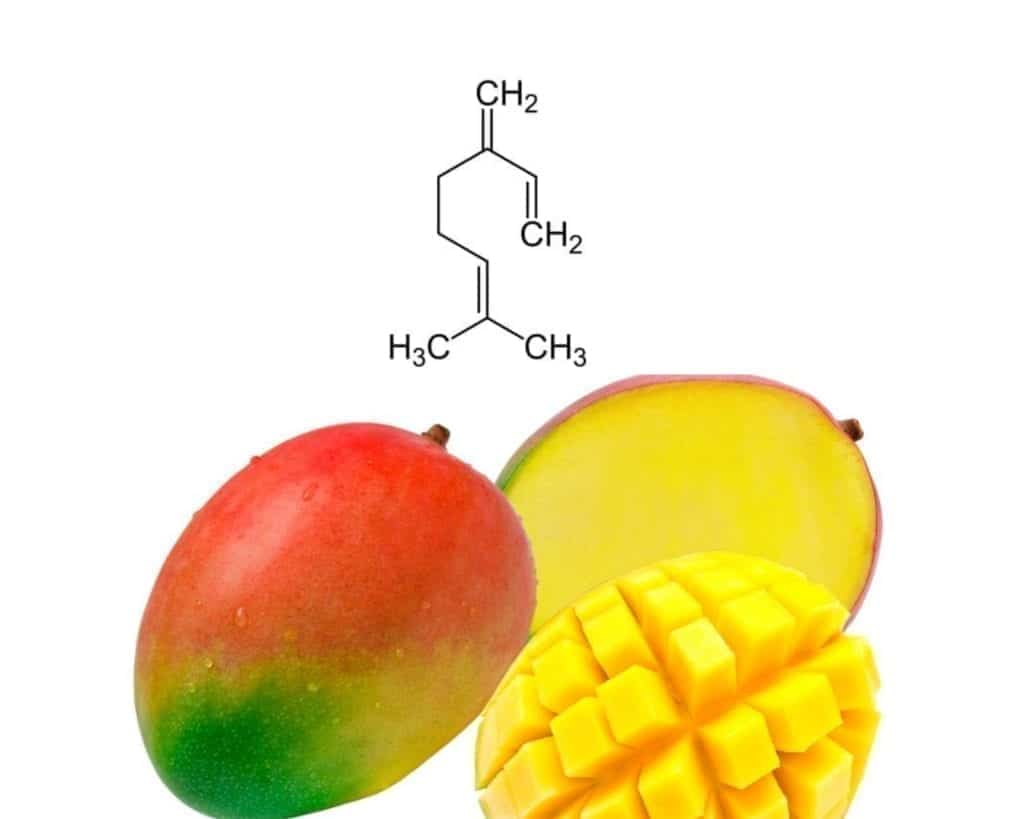 Hablemos De Los Terpenos Cómo Usar Los Terpenos Cannabee